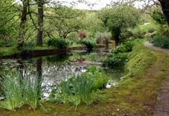 Docton Mill Gardens and Tea Rooms - Visit Bude | Holidays in Bude ...